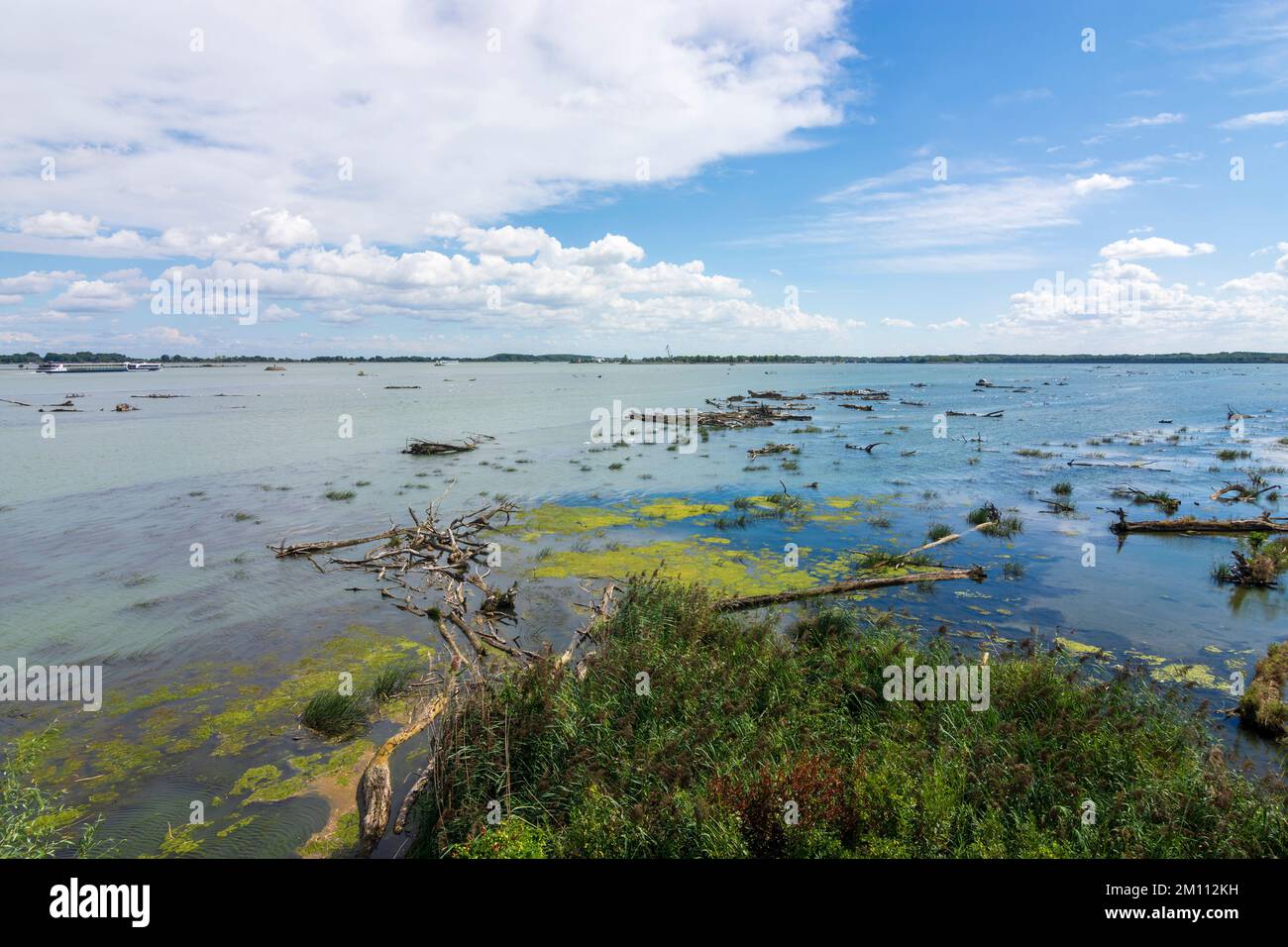 Bratislava (Pressburg): wide part of river Danube near Cunovo, floating ...