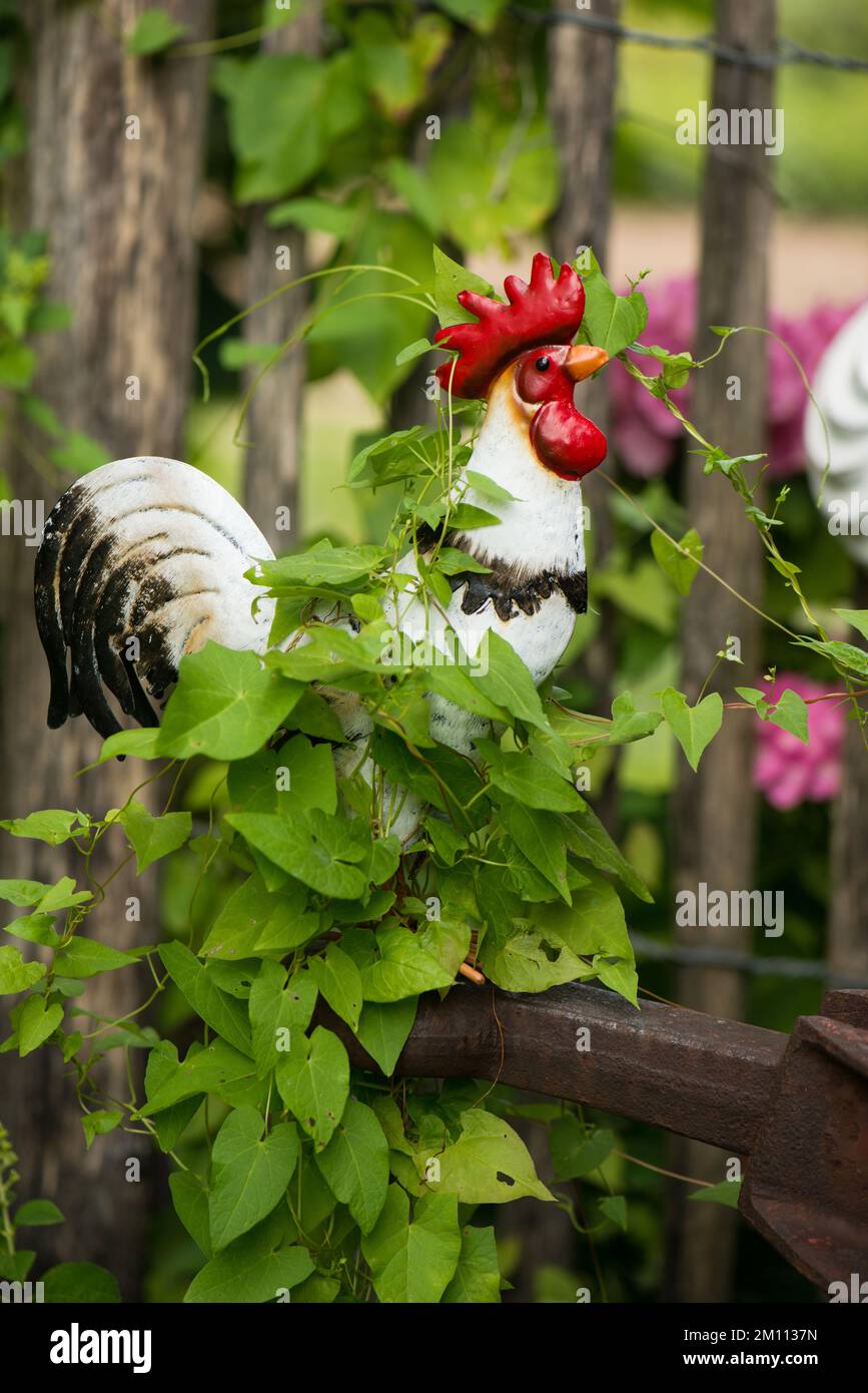 Rooster decoration hi-res stock photography and images - Alamy