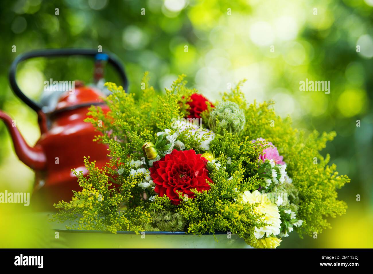Colorful flowers in a farmers garden Stock Photo - Alamy