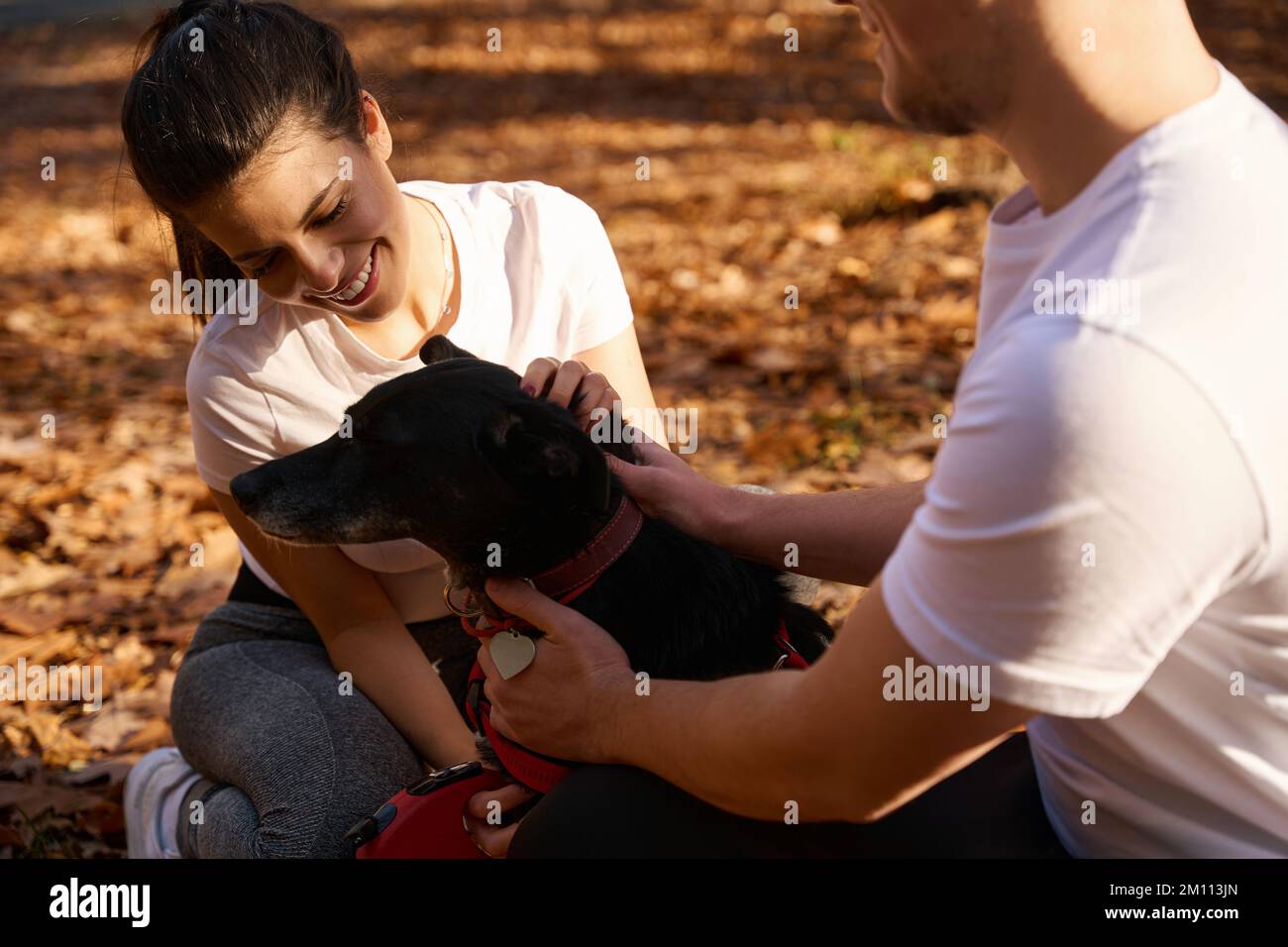 Cheerful woman and her boyfriend are playing with their dog Stock Photo ...