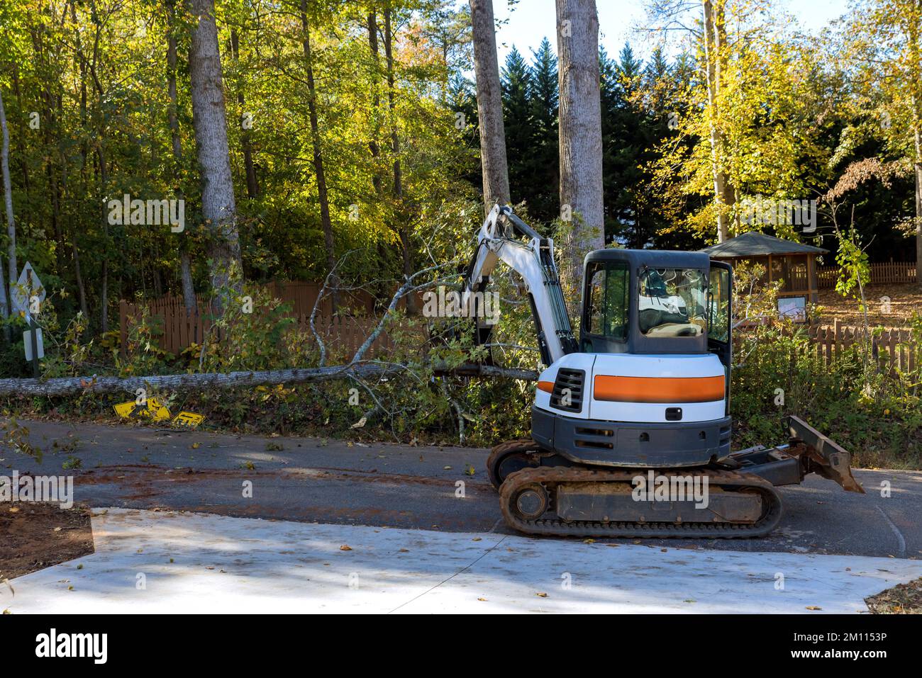 When tornado touched down trees were uprooted and fell into street ...
