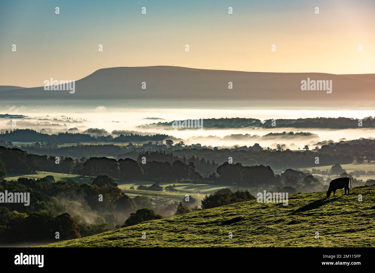 Pendle Hill in the mist at sunrise, Clitheroe, Lancashire, UK Stock ...