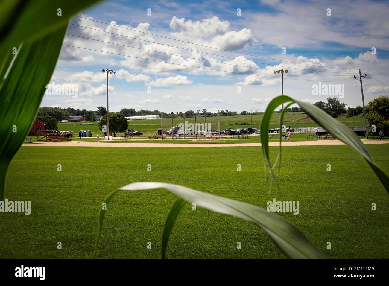 A view from the cornfield of the Lansing family farm and baseball ...