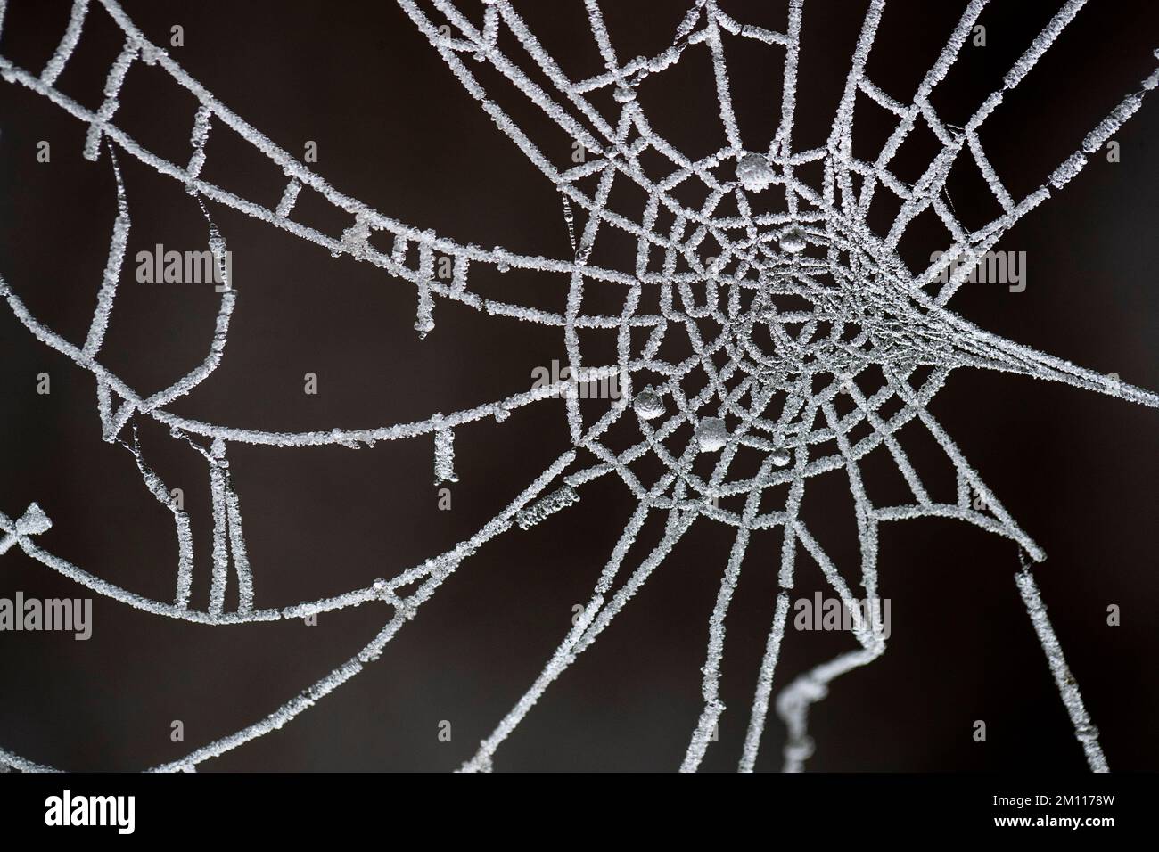 Mist low temp hi-res stock photography and images - Alamy