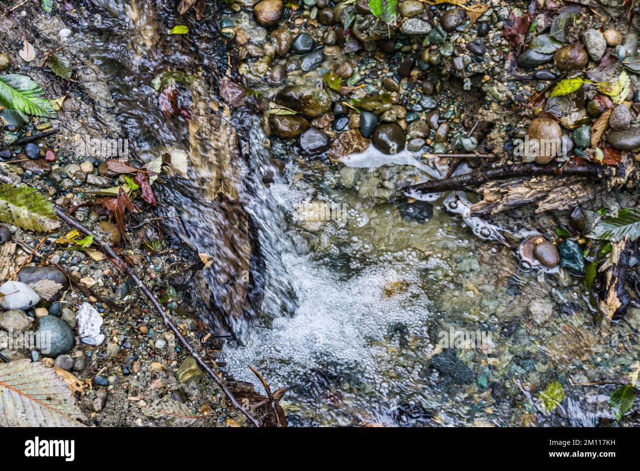 A stream at Dash Point State Park in Washington State. It is winter ...