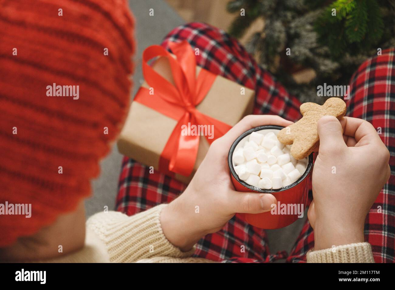 Cozy winter holidays with chocolate with marshmallows and gingerbread ...