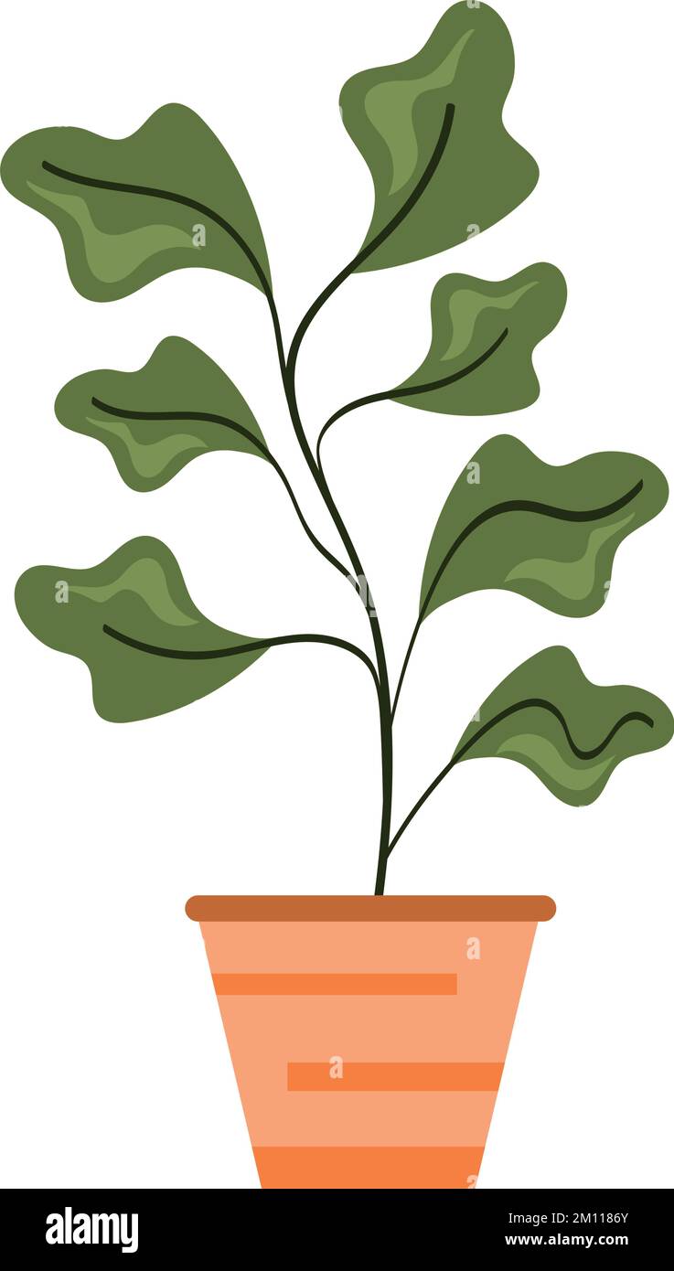 houseplant in pot Stock Vector Image & Art - Alamy