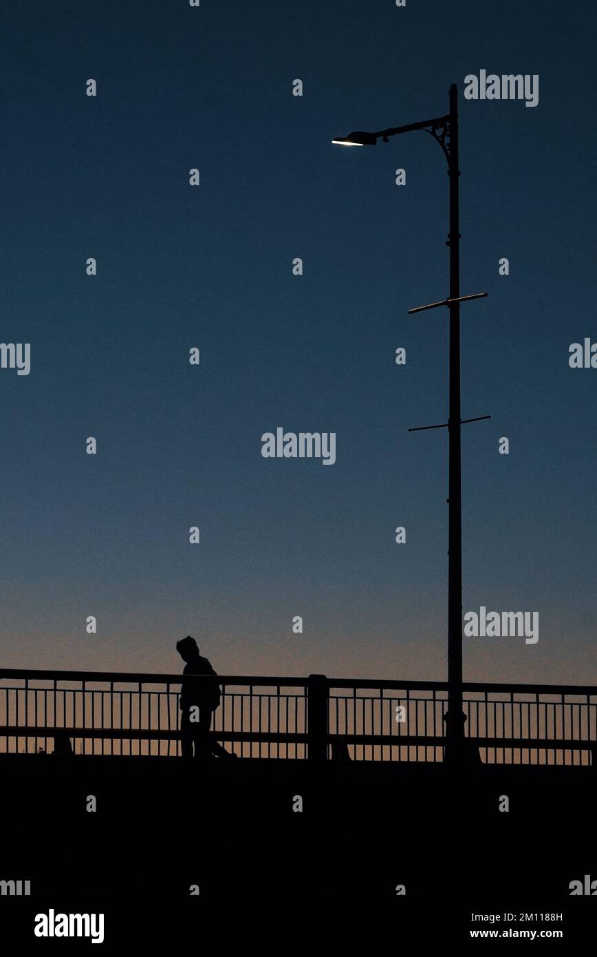 A silhouette captured on the Harvard Bridge around sunset Stock Photo ...