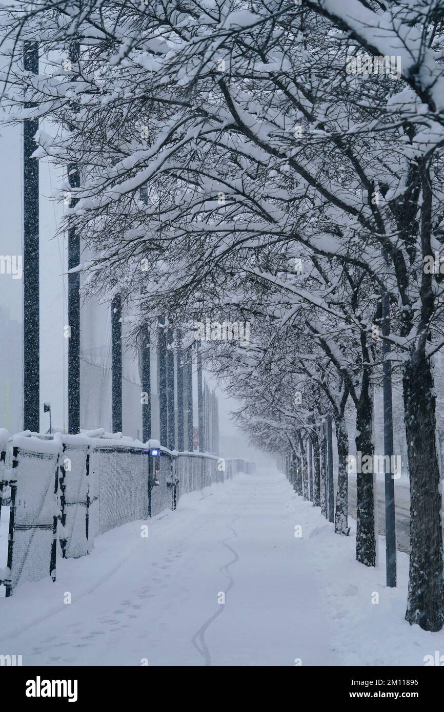 Snowstorm, captured near the Briggs field in MIT Stock Photo - Alamy