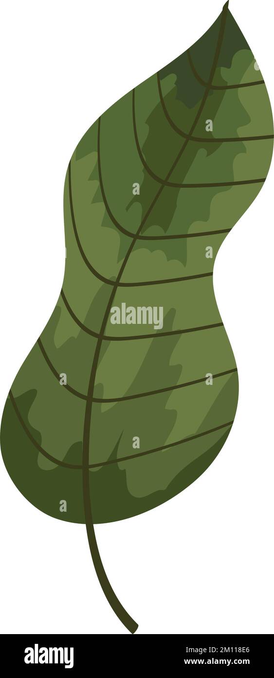 green leaf plant foliage Stock Vector Image & Art - Alamy