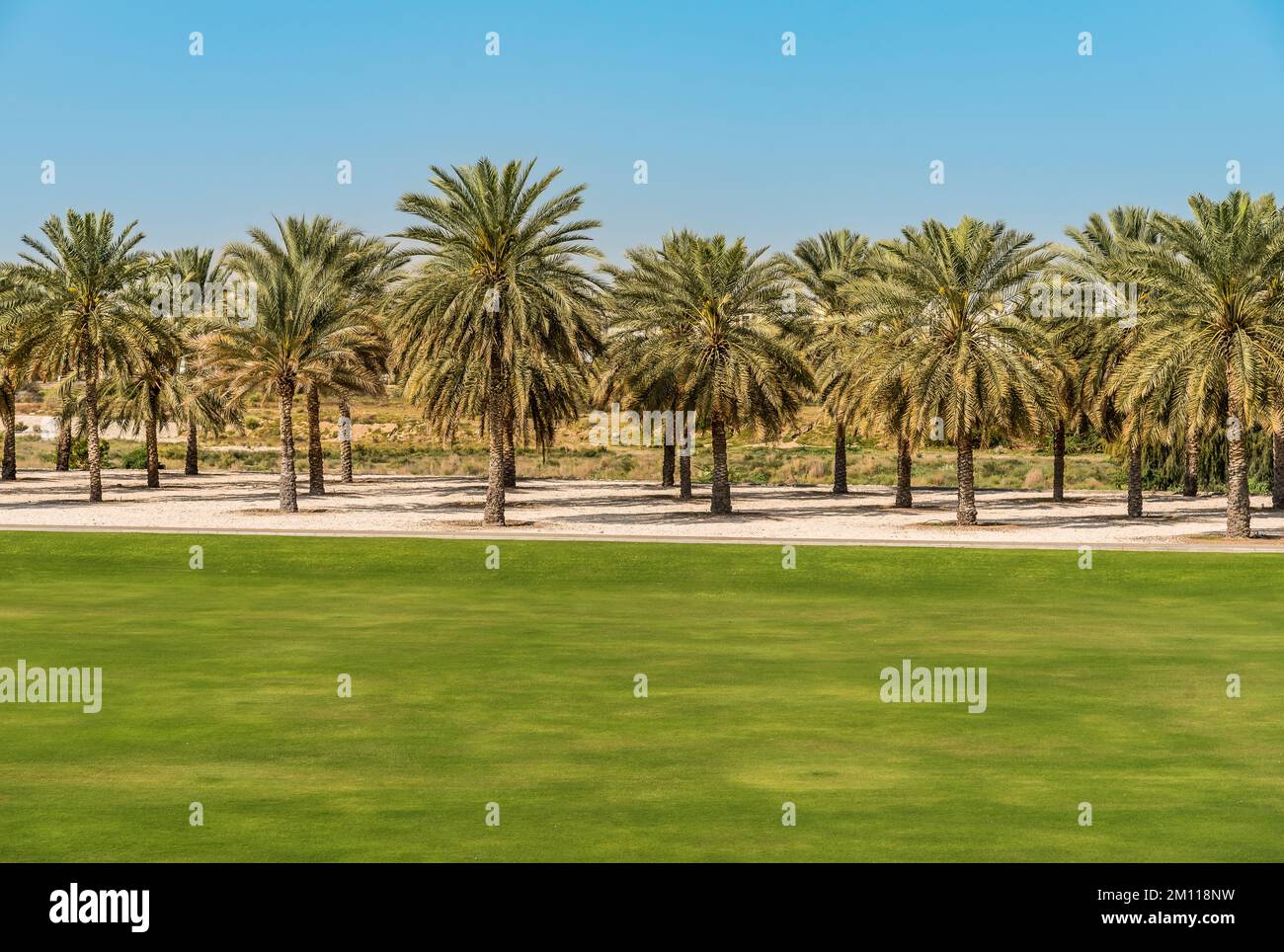 Gardens with palm trees inside the Sultan Qaboos Grand Mosque, Oman ...