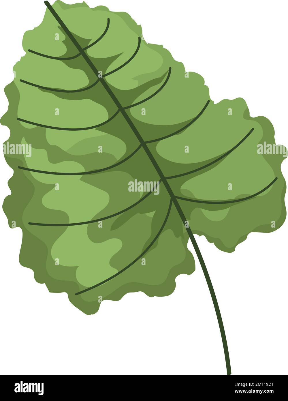 leaf plant foliage Stock Vector Image & Art - Alamy