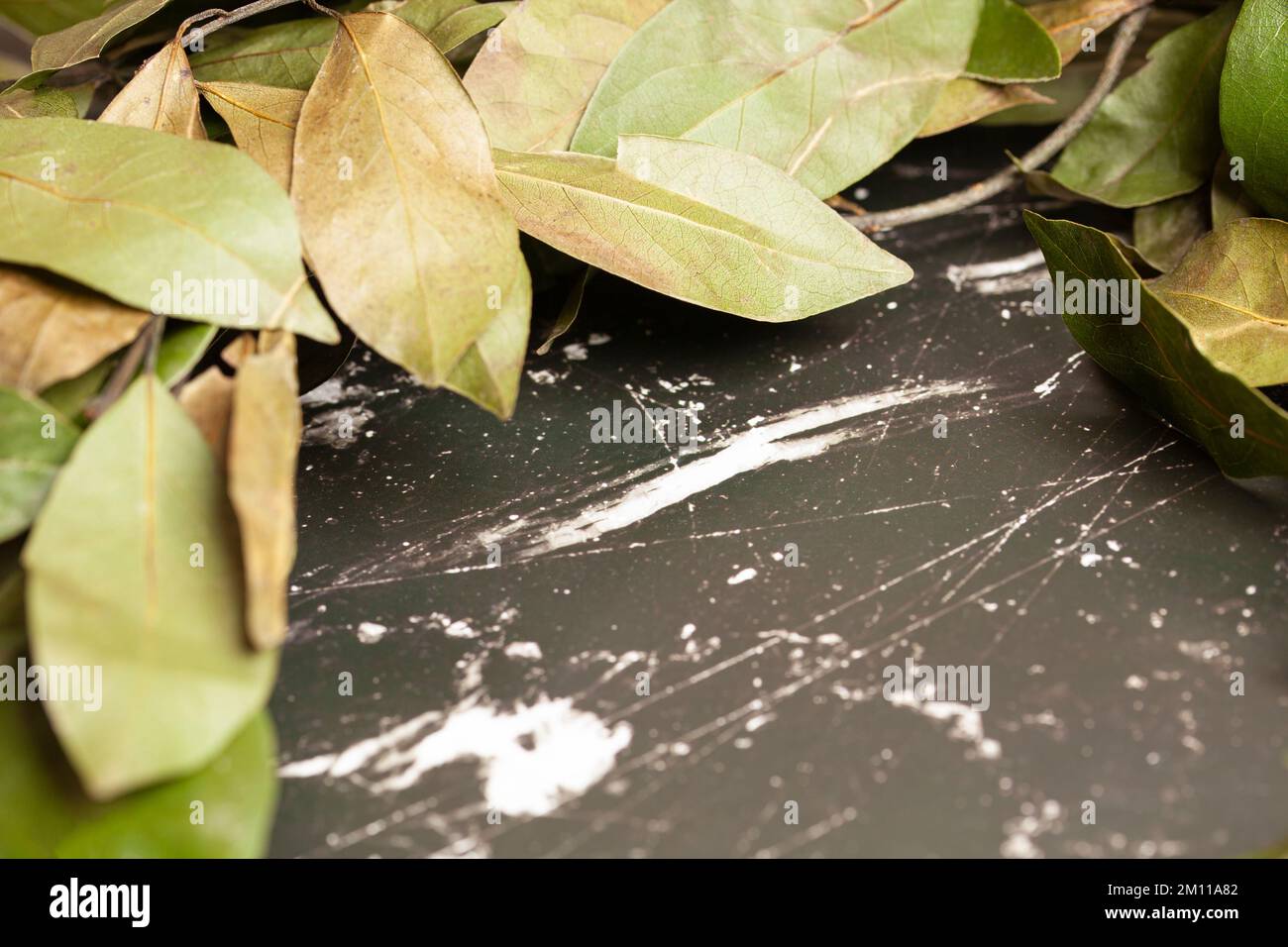 Dry bay leaves on a marble table. Dried laurel leaf seasoning Stock ...