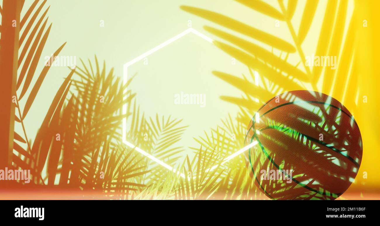 Multiple exposure of basketball and plants with hexagon neon during ...