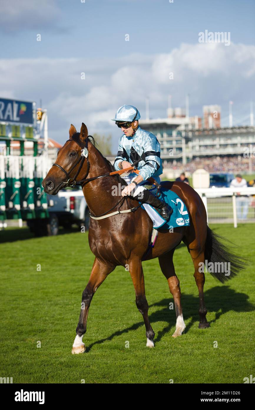 Kevin stott jockey hi-res stock photography and images - Alamy