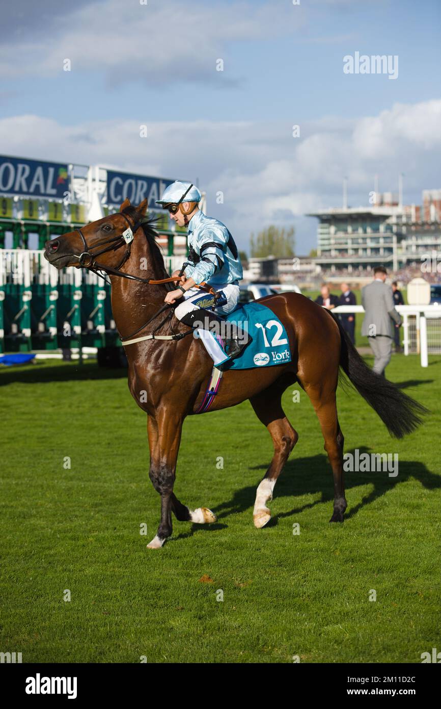 Kevin stott jockey hi-res stock photography and images - Alamy
