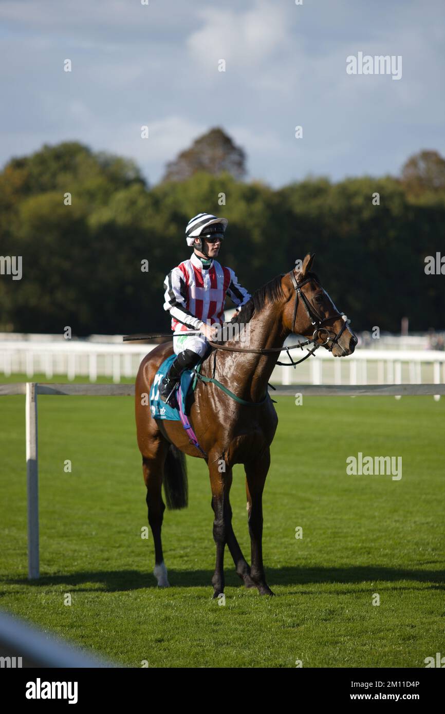 Jockey Jason Hart on Michael's Pledge at York Races Stock Photo - Alamy