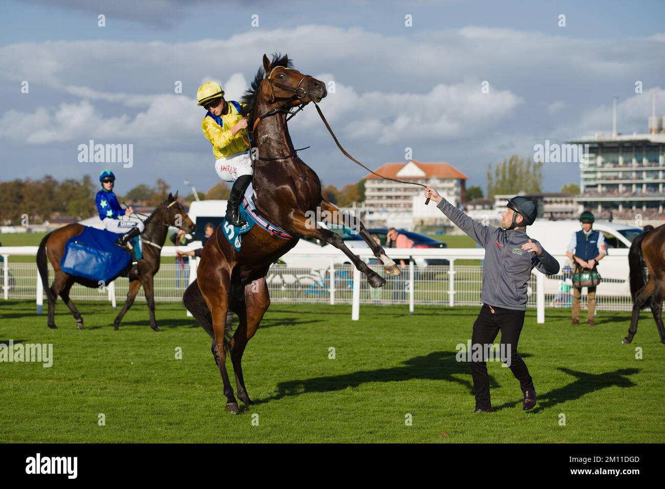 Racehorse Garden Route rears up while jockey Tom Marquand and racecourse staff try to calm them ...