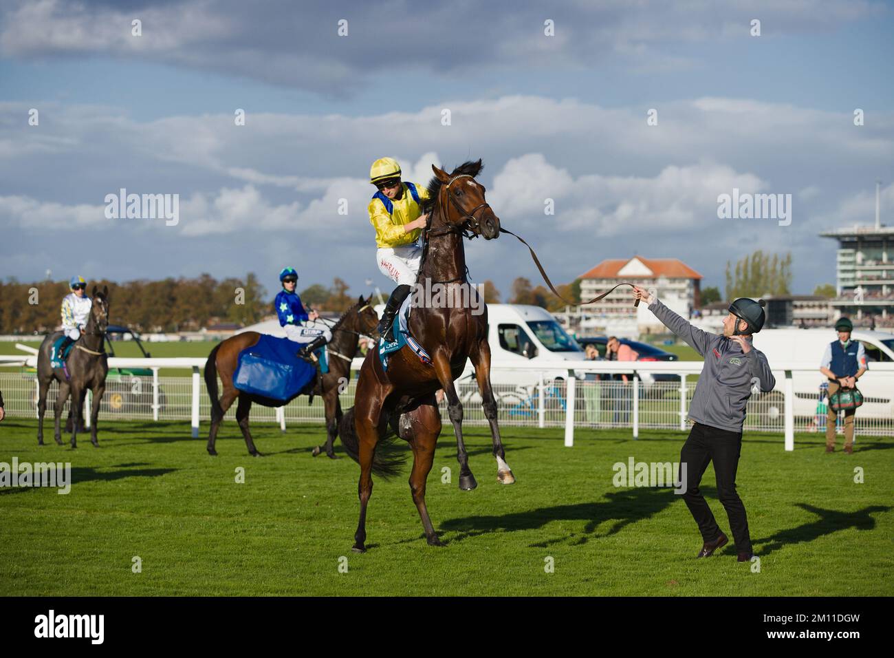 Racehorse Garden Route rears up while jockey Tom Marquand and ...