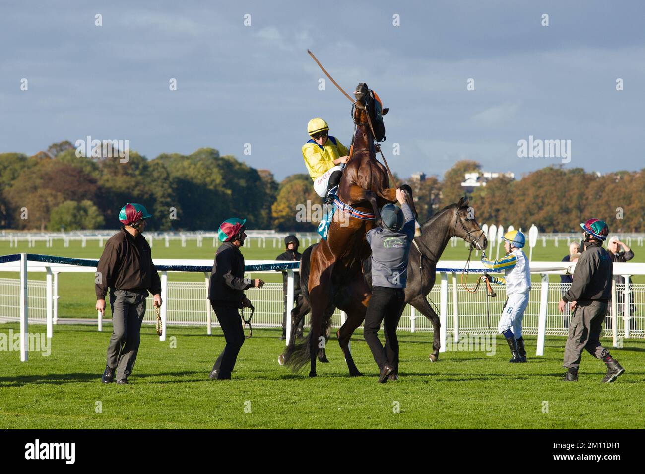Racehorse Garden Route rears up while jockey Tom Marquand and ...