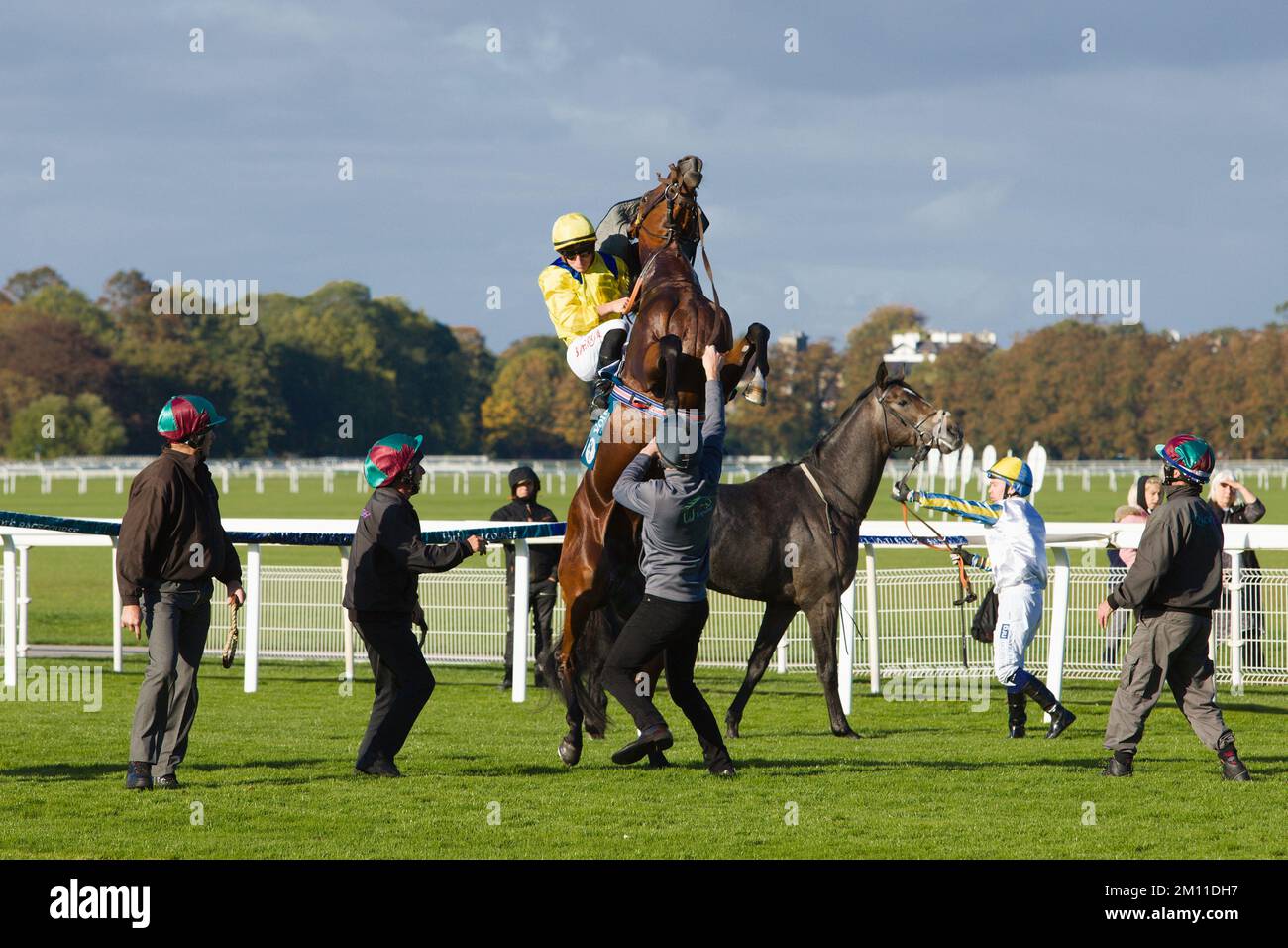 Racehorse Garden Route rears up while jockey Tom Marquand and ...