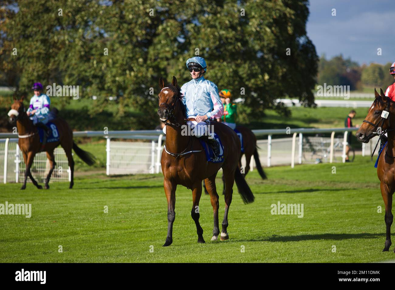 Jockey Daniel Tudhope riding Kyeema to the start at York Races Stock ...