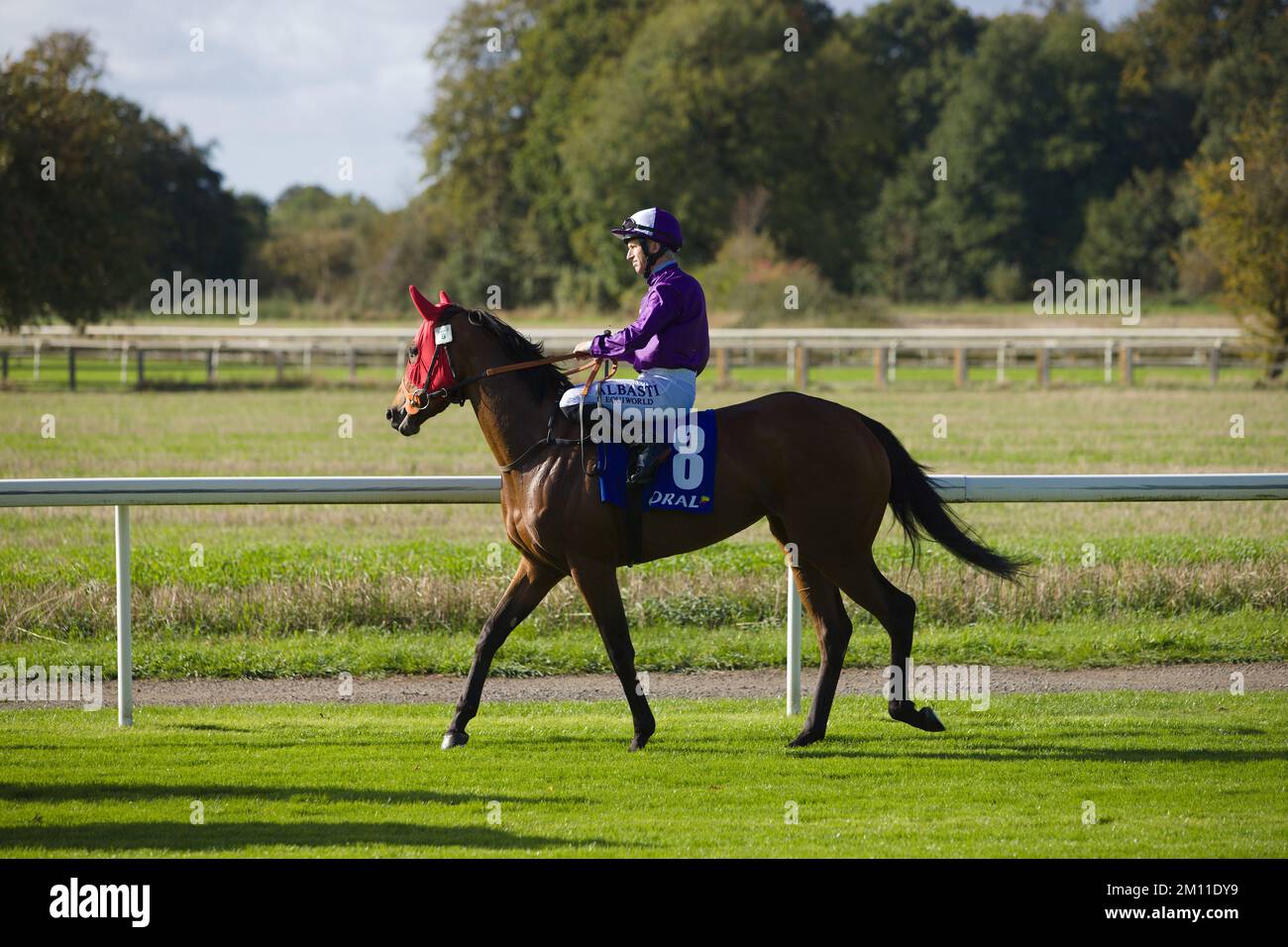 Jockey Pat Dobbs on Miami Girl at York Races Stock Photo - Alamy