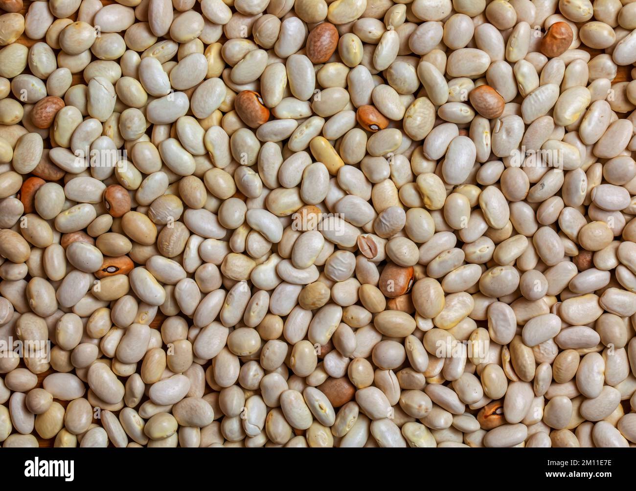 White haricot bean hi-res stock photography and images - Alamy