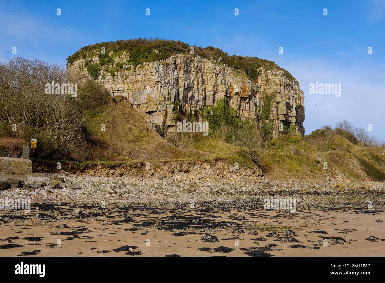 Cliff and Beach at Red Wharf Bay, Anglesey Stock Photo - Alamy