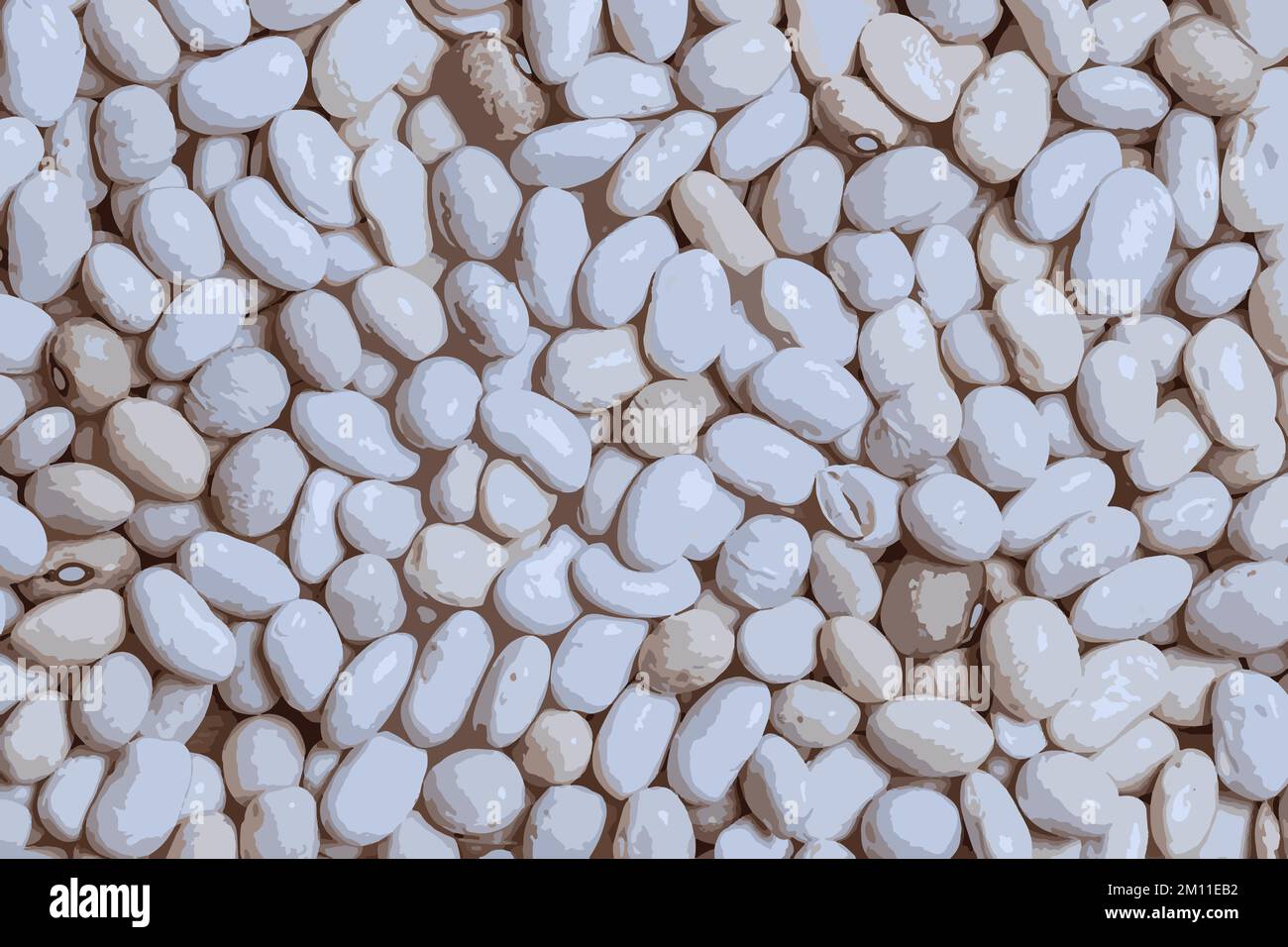 Realistic vector illustration of a background of white haricot beans ...