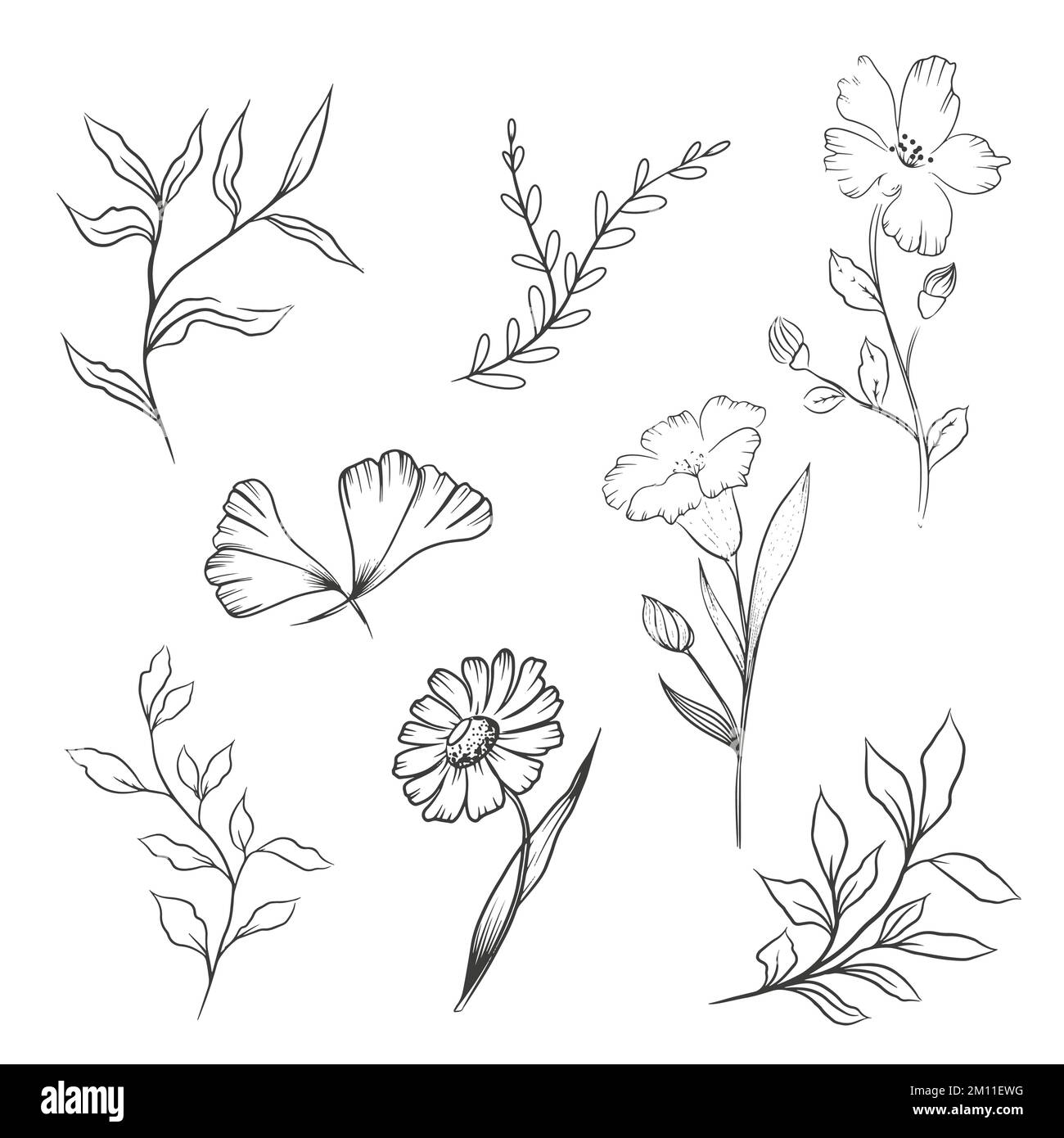 selection of flowers in the technique of hand drawing Stock Vector ...