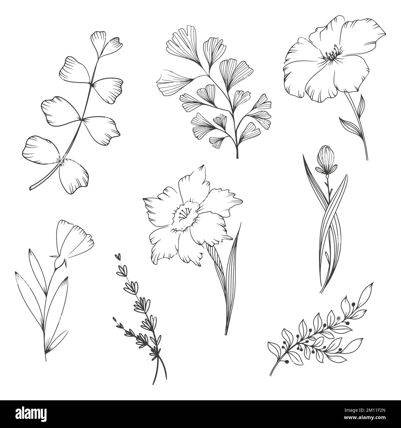 Vintage art technique Stock Vector Images - Alamy