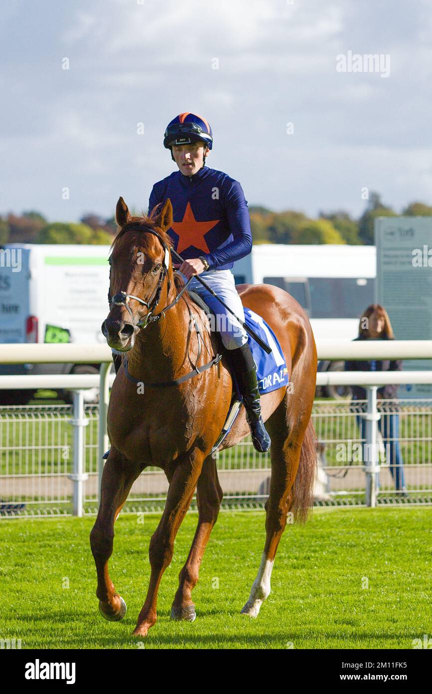 Jockey Harry Burns before the start of a race at York Races Stock Photo ...