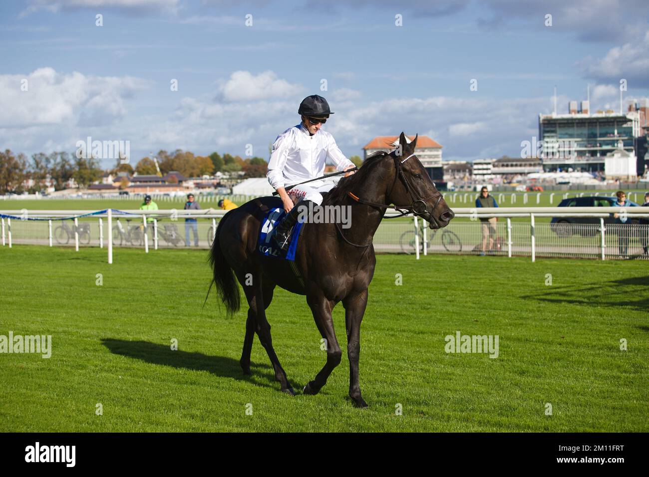 Jockey Tom Marquand riding Protagonist at York Racecourse Stock Photo ...