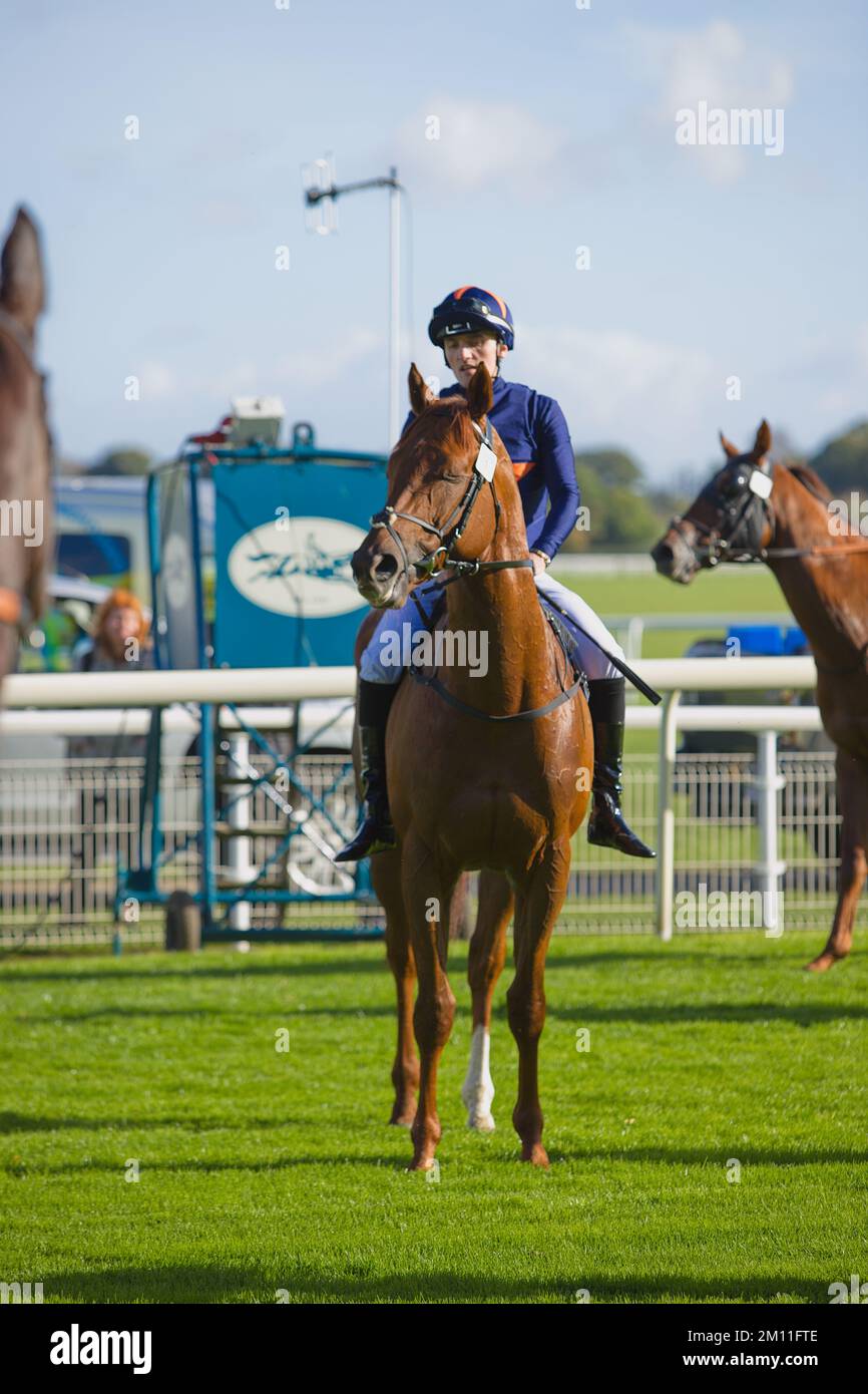 Jockey Harry Burns before the start of a race at York Races Stock Photo ...