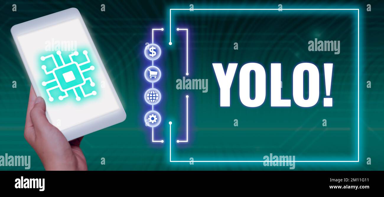 Writing displaying text Yolo. Internet Concept stand for You only live ...