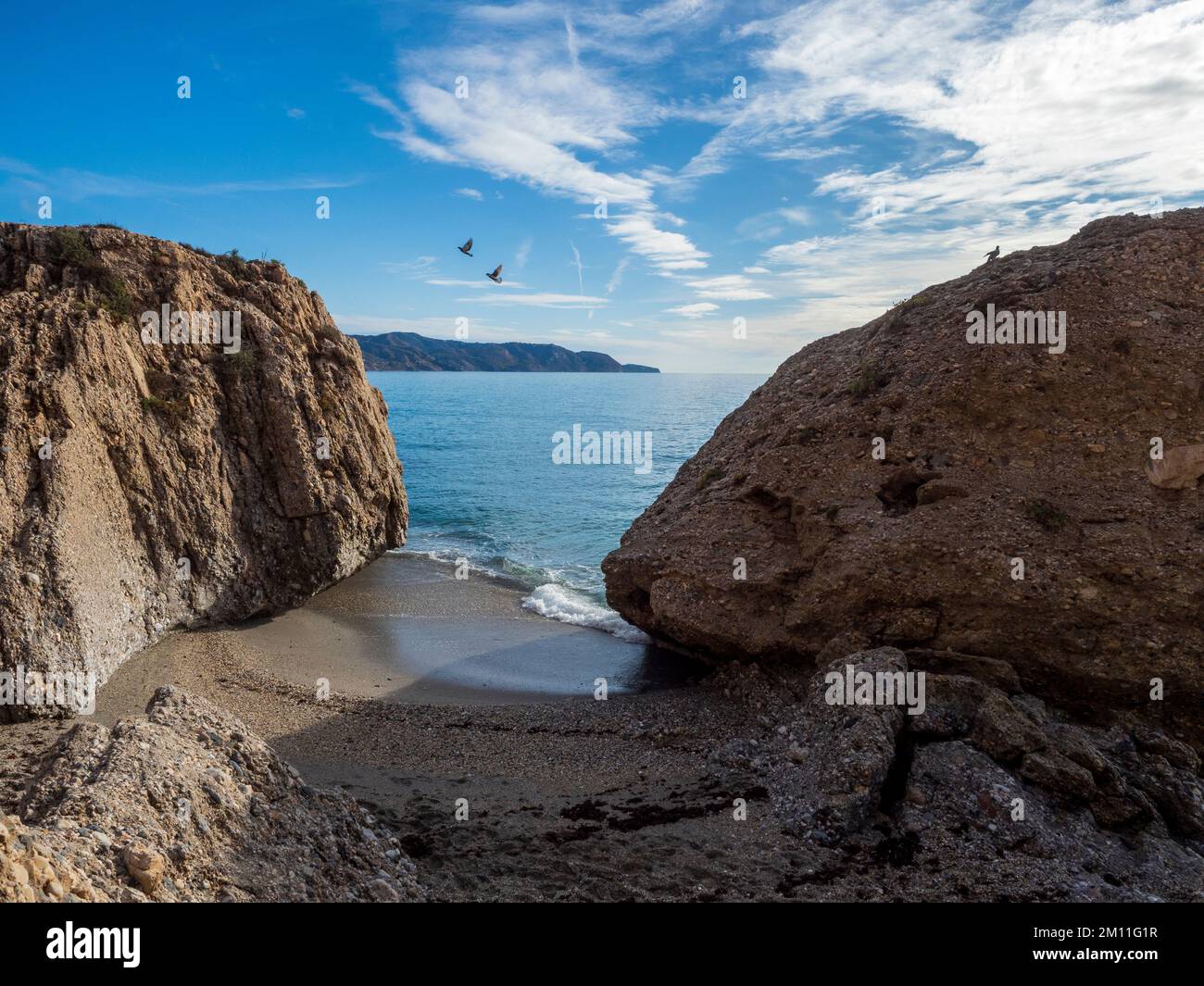 Seabirds on the cliff coast of Nerja Stock Photo - Alamy