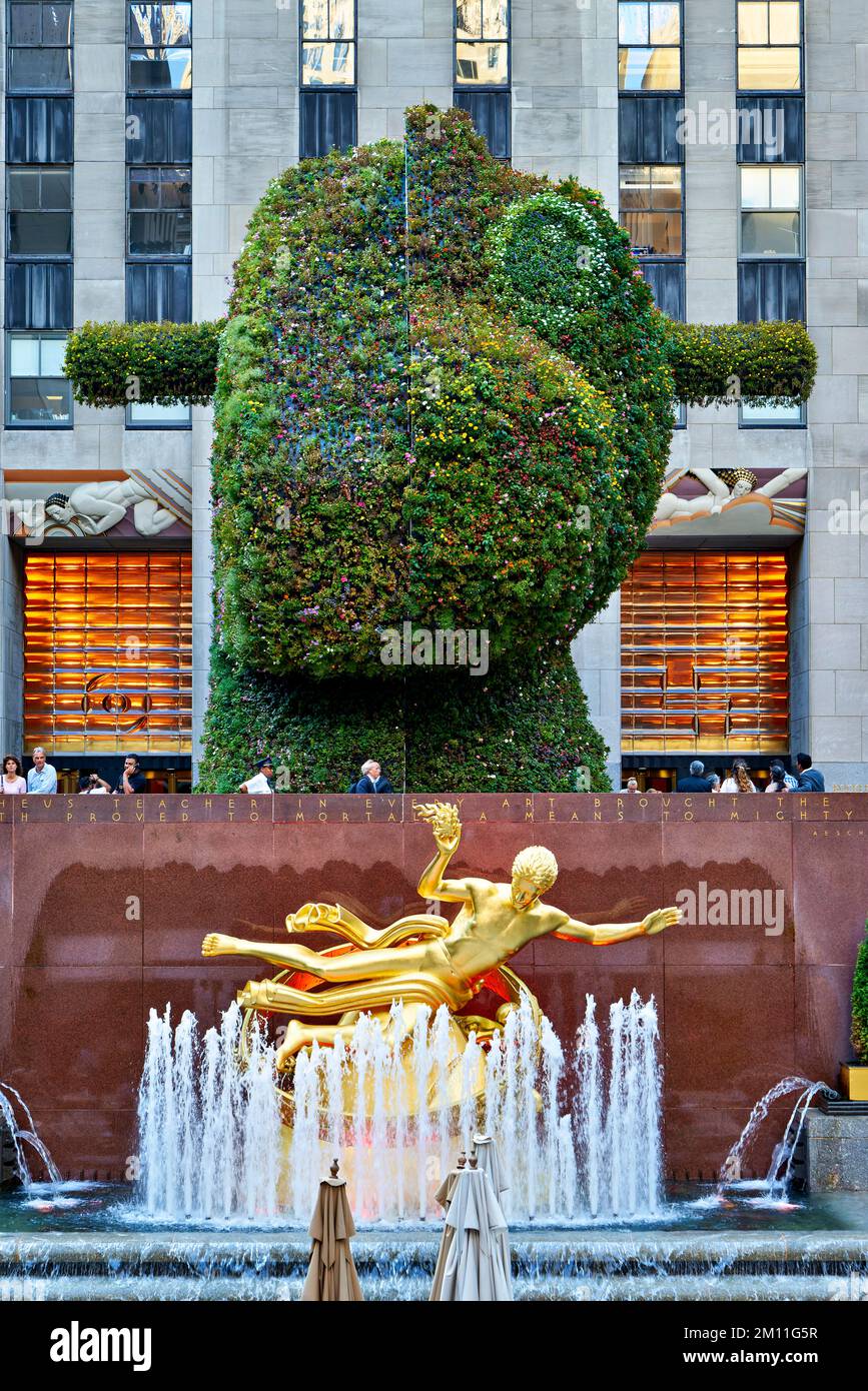 New York. Manhattan. United States. Prometheus golden statue at ...