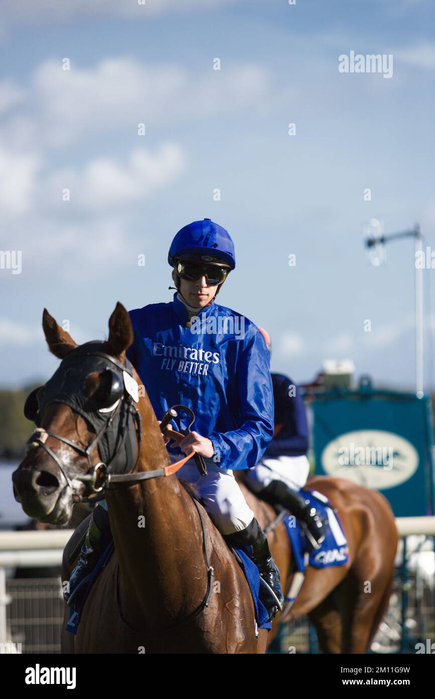 Jockey Louis Steward on Marching Army at York Races Stock Photo - Alamy