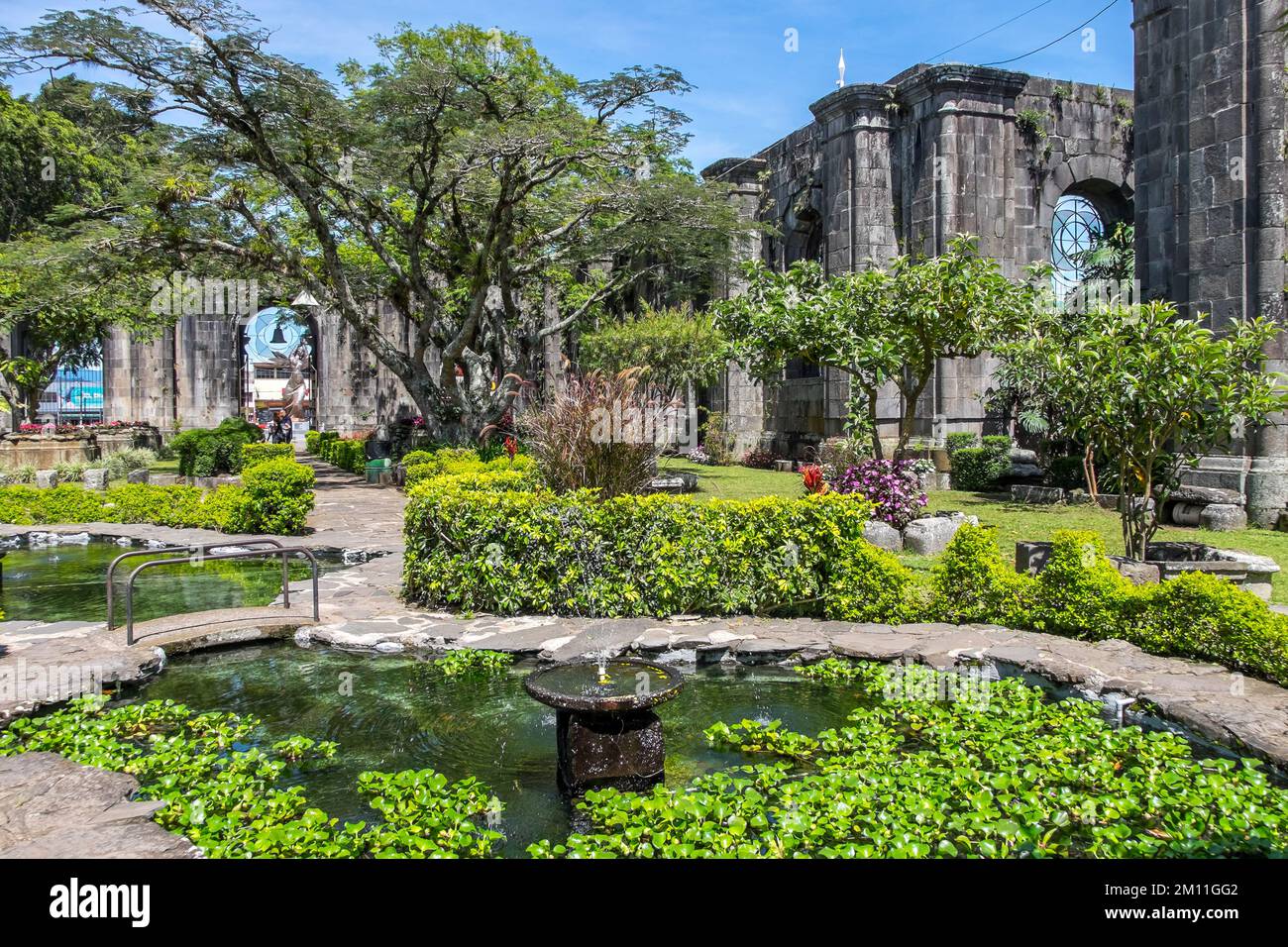Interior gardens in the ruins of the old Romanesque church of Cartago ...