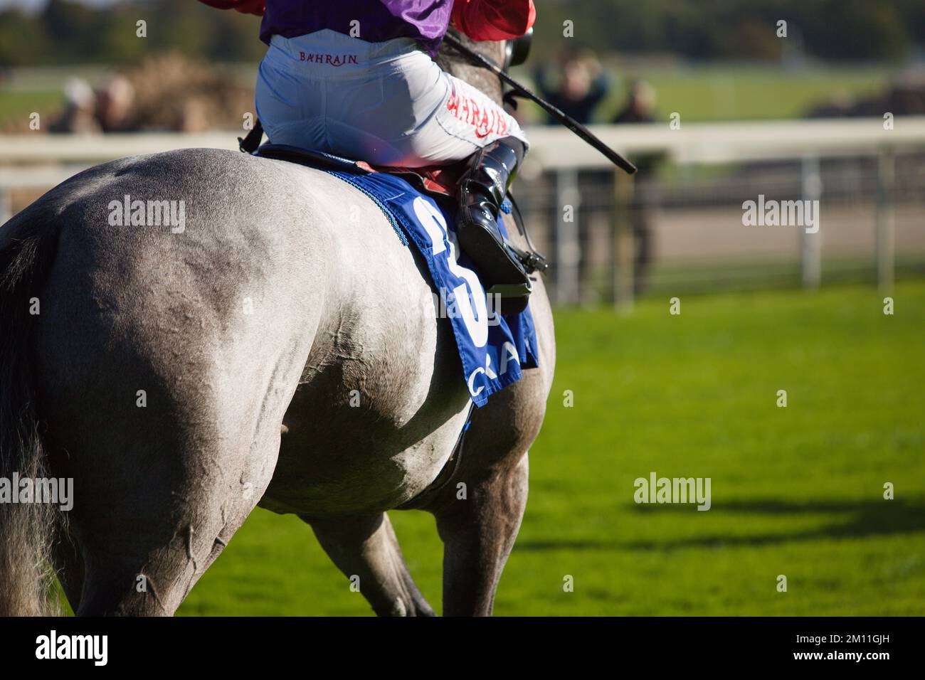 Jockey Robert Havlin on Saga before the start of a race at York ...