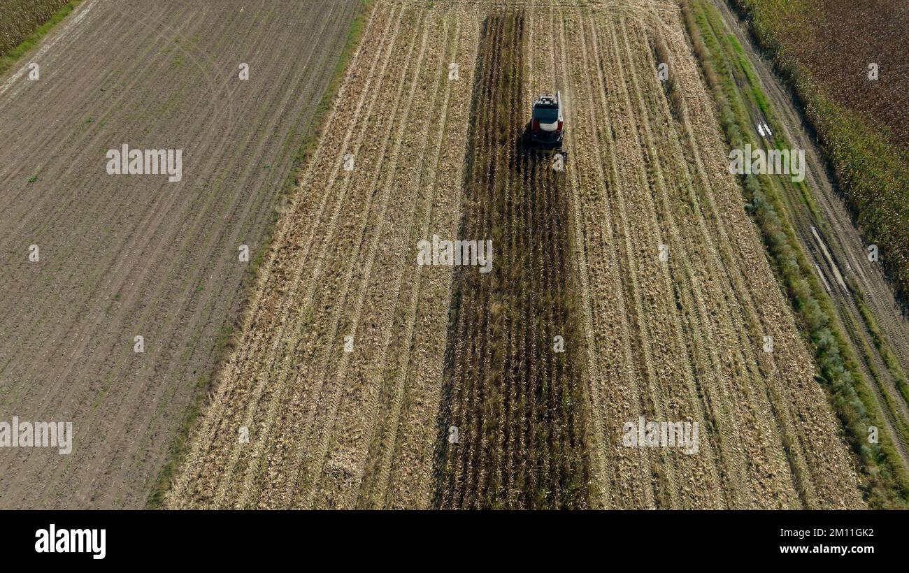 Farm field, farmers work with tractor on farmland Stock Photo - Alamy