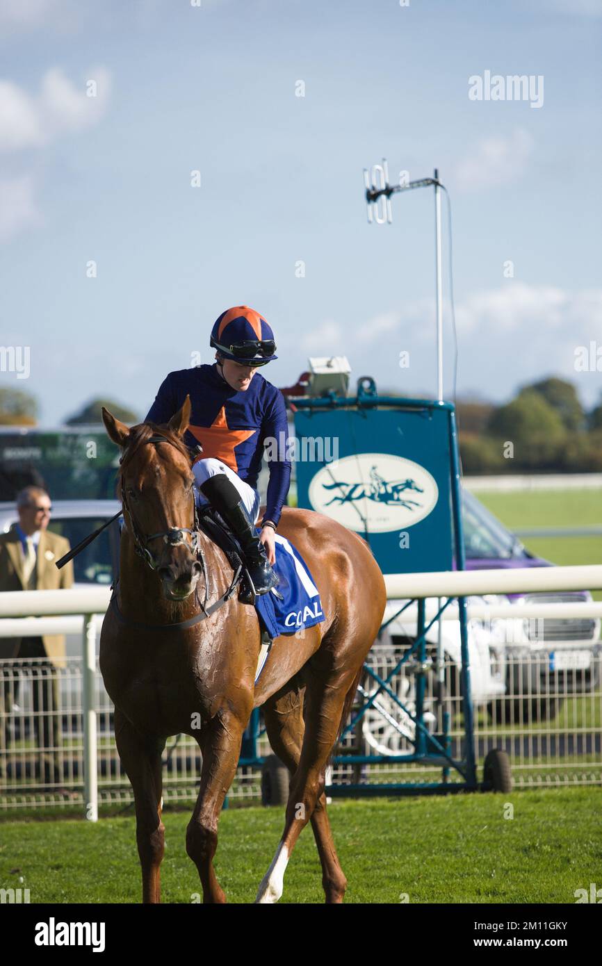 Jockey Harry Burns before the start of a race at York Races Stock Photo ...