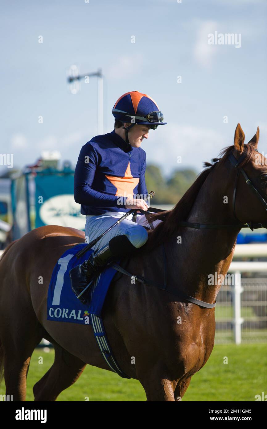 Jockey Harry Burns before the start of a race at York Races Stock Photo ...