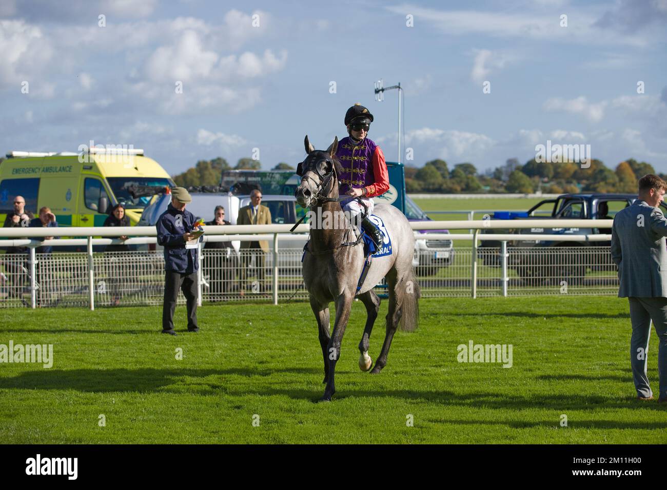 Jockey Robert Havlin on Saga before the start of a race at York ...