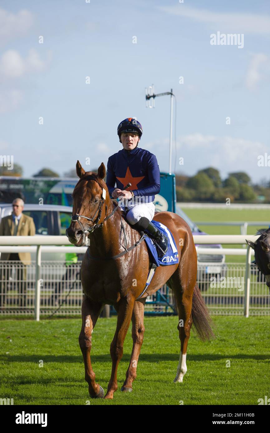 Jockey Harry Burns before the start of a race at York Races Stock Photo ...