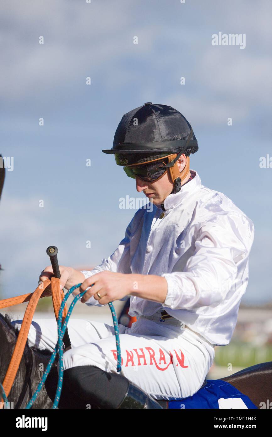 Jockey Tom Marquand riding Protagonist at York Racecourse Stock Photo ...