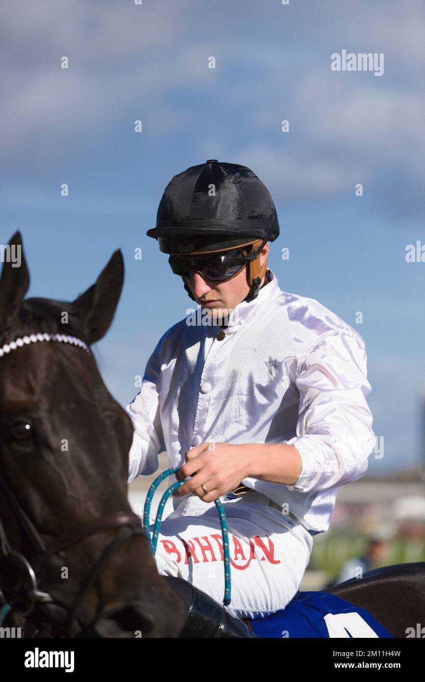 Tom marquand hi-res stock photography and images - Alamy