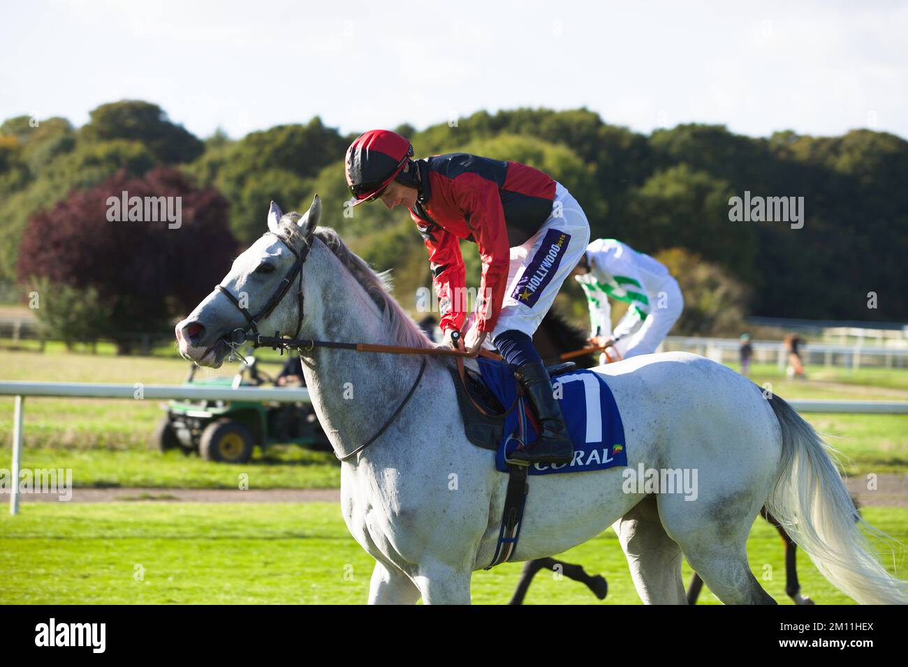 Jockey Daniel Muscutt riding Silver Samurai at York Races Stock Photo ...