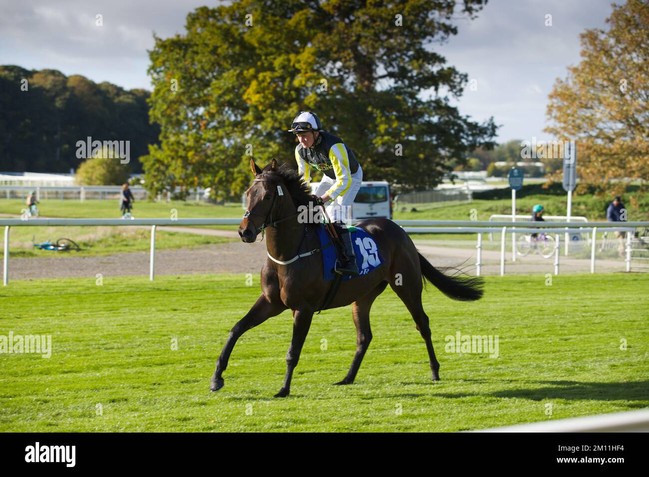 Jockey John Fahy rides Lethal Nymph to the start at York Races Stock ...